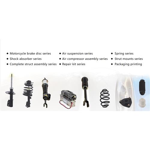 Shock absorber,air suspension,Strut assembly,Coil spring - XGM ...